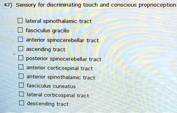 SOLVED: 47 Sensory for discriminating touch and conscious ...