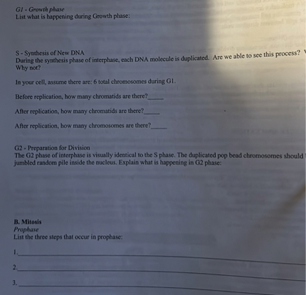 SOLVED: GI. Growth phase List what is happening during Growth phase: S ...