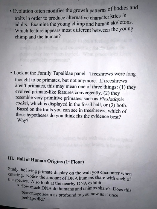 SOLVED: Evolution often modifies the growth patterns of bodies and traits in order to produce ...