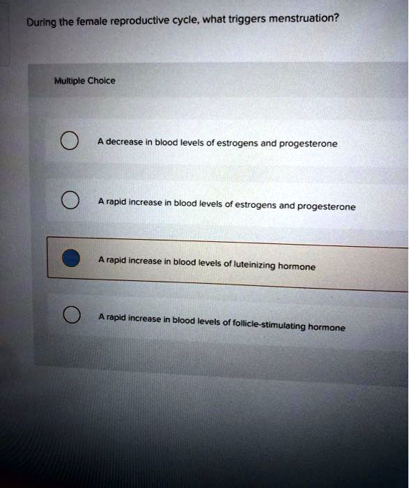 During the female reproductive cycle, what triggers menstruation ...
