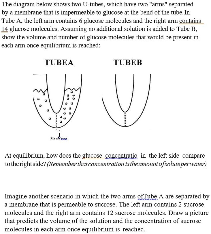 The diagram below shows two U-tubes, which have two "arms" separated by ...