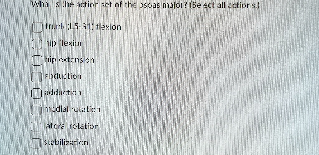 What is the action set of the psoas major? (Select all actions.) trunk ...