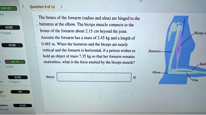 SOLVED: 1oo/100 Question - of 13 The bones of the forearm (radius and ...