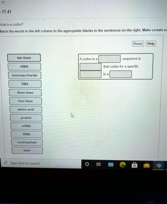 1741 jhal is codon natch the words the left column the appropriate ...