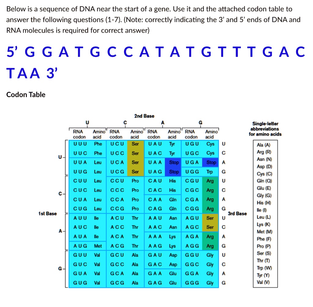 Below is a sequence of DNA near the start of a gene. Use it and the ...