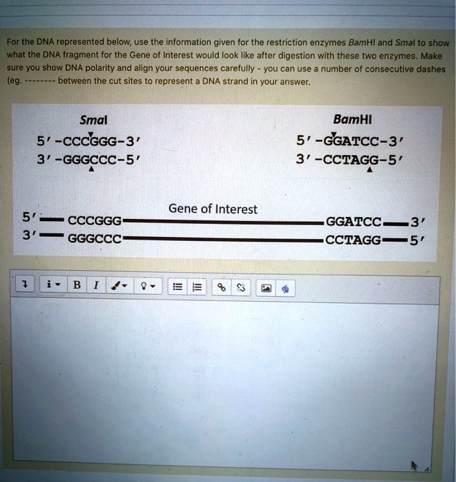 SOLVED: For the DNA represented below, use the information given for ...