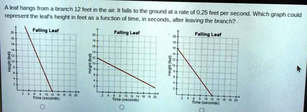 a leaf hangs from a branch 12 feet in the air it falls t0 the ground at ...