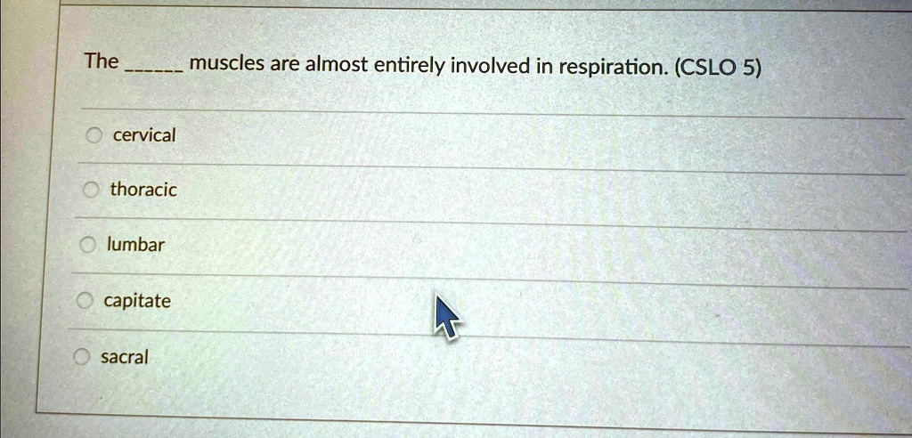 The muscles are almost entirely involved in respiration. (CSLO 5 ...