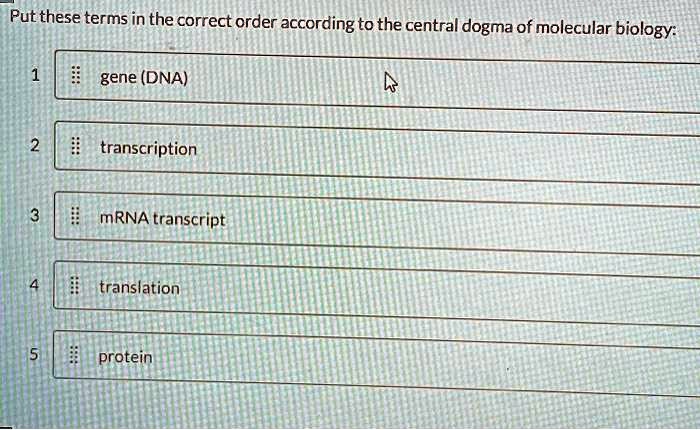 Put these terms in the correct order according to the central dogma of ...