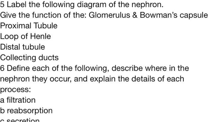 SOLVED: 5. Label the following diagram of the nephron: - Glomerulus Bowman's capsule - Proximal ...