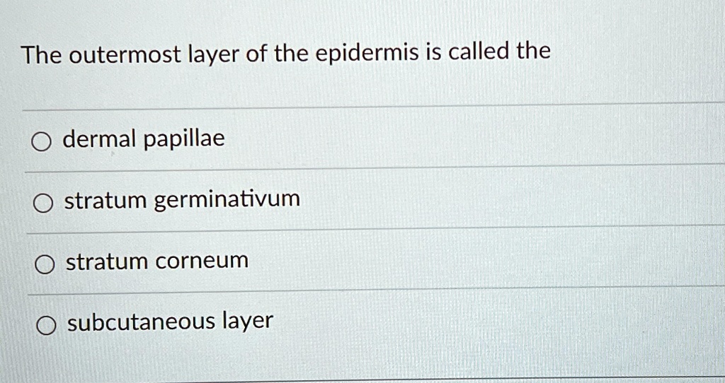 The outermost layer of the epidermis is called the Odermal papillae ...