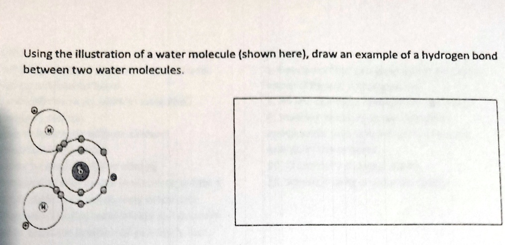 SOLVED: 'Using the illustration of a water moleculc (shown here), draw an example ofa hydrogen ...