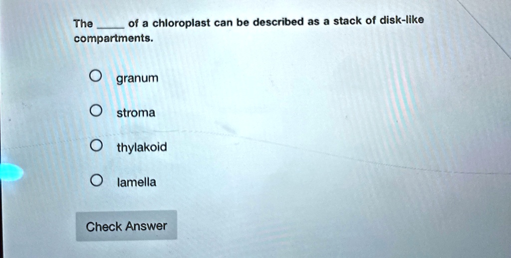 The of a chloroplast can be described as a stack of disk-like ...