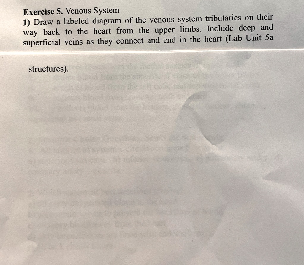 exercise 5 venous system 1 draw a labeled diagram of the venous system ...