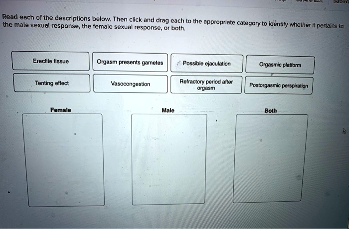 Solved Text Read Each Of The Descriptions Below Then Click And Drag