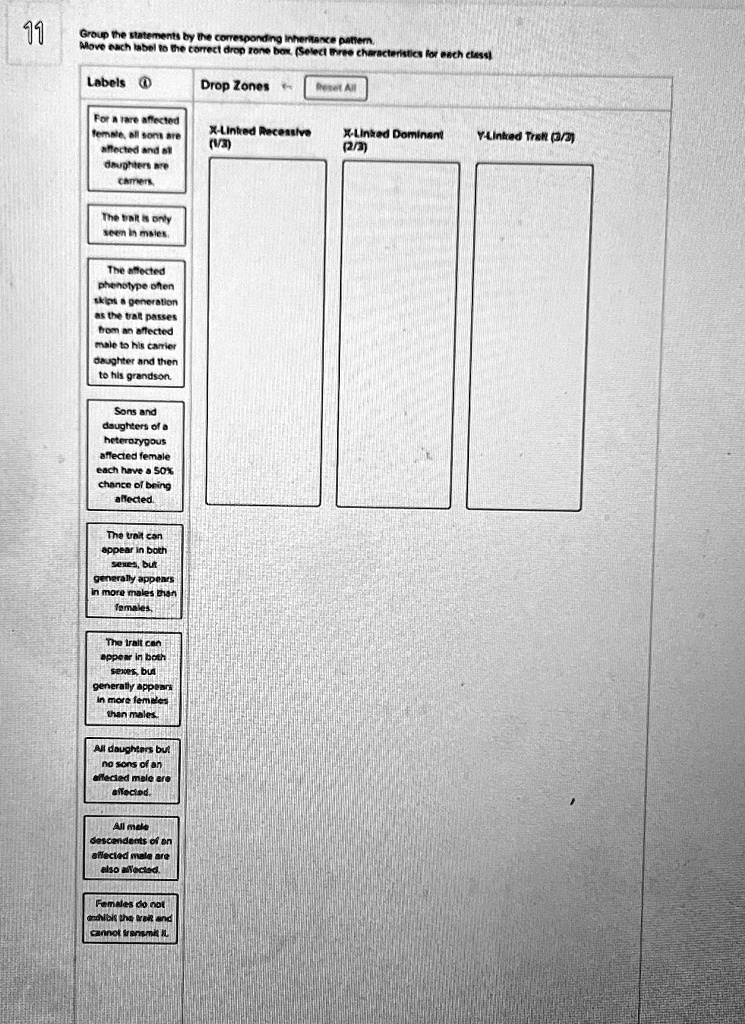 Solved 11 Group The Statements By The Corresponding Inheritance Pattern Move Each Label To The 