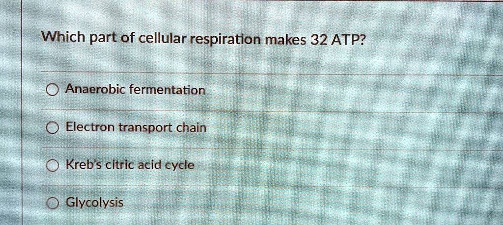 Which part of cellular respiration makes 32 ATP? Anaerobic fermentation ...