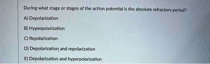 during what stage or stages of the action potential is the absolute ...