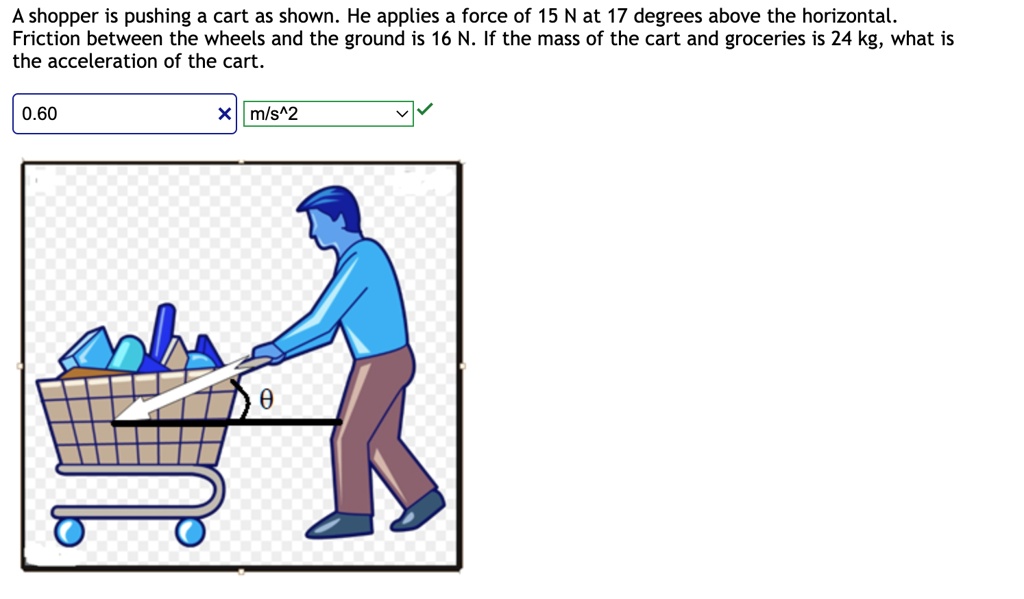 A shopper is pushing a cart as shown. He applies a force of 15 N at 17 ...
