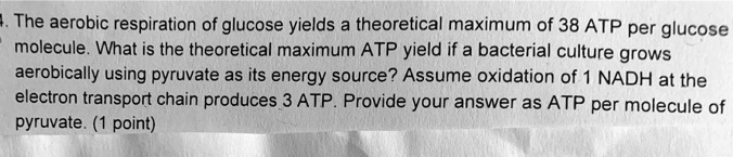 4. The aerobic respiration of glucose yields a theoretical...