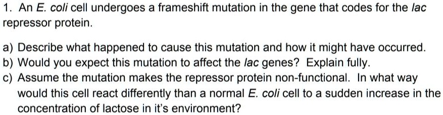 SOLVED: An E. coli cell undergoes a frameshift mutation in the gene that codes for the lac ...