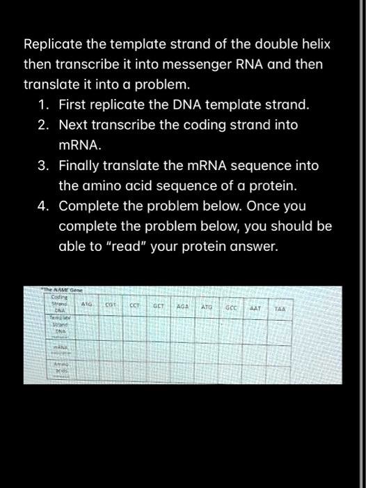 SOLVED: Replicate the template strand of the double helix then ... SOLVED: Replicate the template strand of the double helix then ...