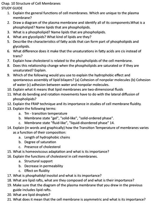 SOLVED: Chap.10 Structure of Cell Membranes STUDY GUIDE 1. Explain the ...