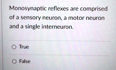 SOLVED: Monosynaptic reflexes are comprised of a sensory neuron, a ...