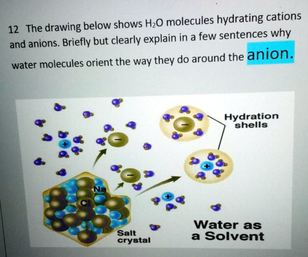 SOLVED: The drawing below shows H,O molecules hydrating cations 12 and anions. Briefly but ...