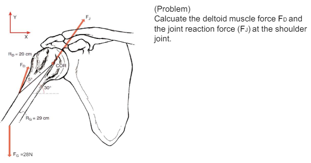 (Problem) Calcuate the deltoid muscle force FD and the joint reaction ...