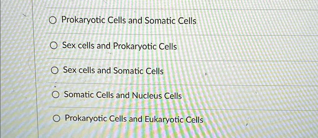 Prokaryotic Cells And Somatic Cells Sex Cells And Prokaryotic Cells Sex Cells And Somatic Cells