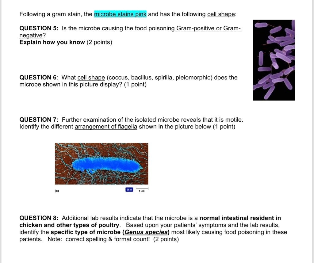 following a gram stain the microbe stains pink and has the following ...