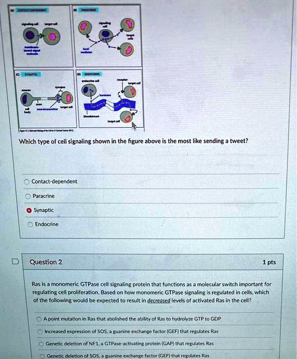 SOLVED: Which type of cell signaling shown in the figure above is the ...