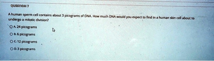SOLVED: A human sperm cell contains about picograms of DNA. How much ...