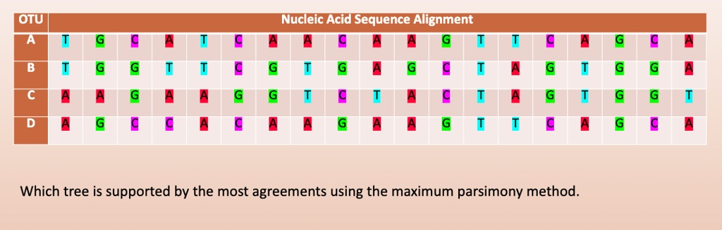 SOLVED: OTU Nucleic Acid Sequence Allignment Which tree is supported by ...