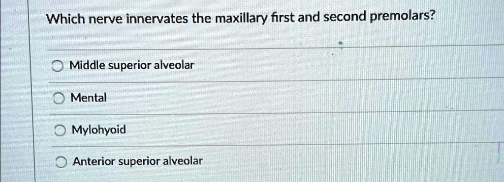 which nerve innervates the maxillary first and second premolars middle ...