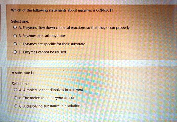 SOLVED: Which of the following statements about enzymes is CORRECT ...