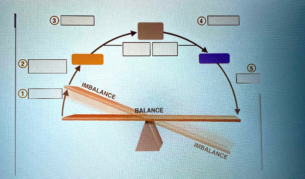 SOLVED: Label the diagram A ? 5 IMBALANCE BALANCE IMBALANCE