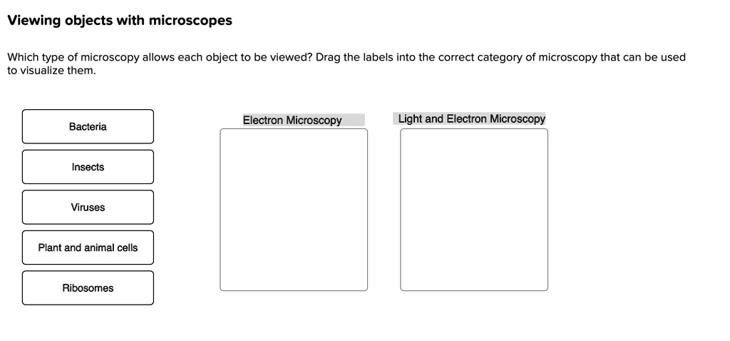 Viewing objects with microscopes Which type of microscopy allows each object to be viewed? Drag ...