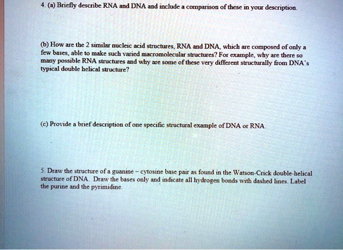 SOLVED: (a) Briefly describe RNA and DNA and include comparison of these in your description ...