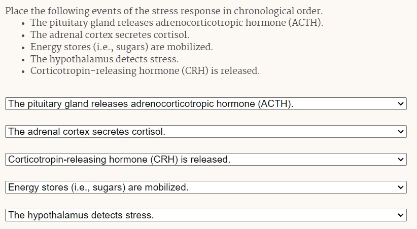 Place the following events of the stress response in chronological ...