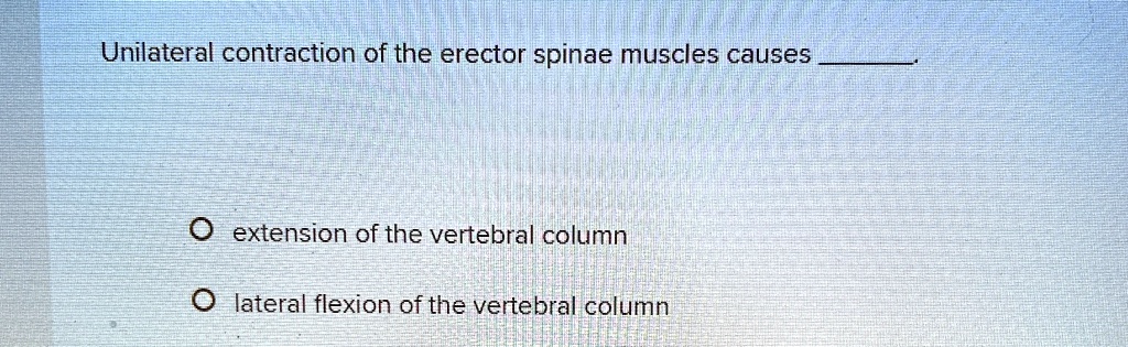 Unilateral contraction of the erector spinae muscles causes O extension ...