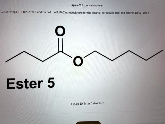 SOLVED:Figure " Ester = structure: Repeat steps 8 for Ester and record ...