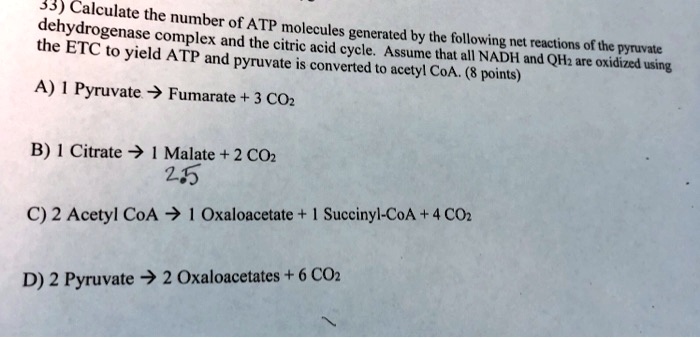 SOLVED: 35) Calculate the dehydrogenase number of ATP molecules the ETC ...
