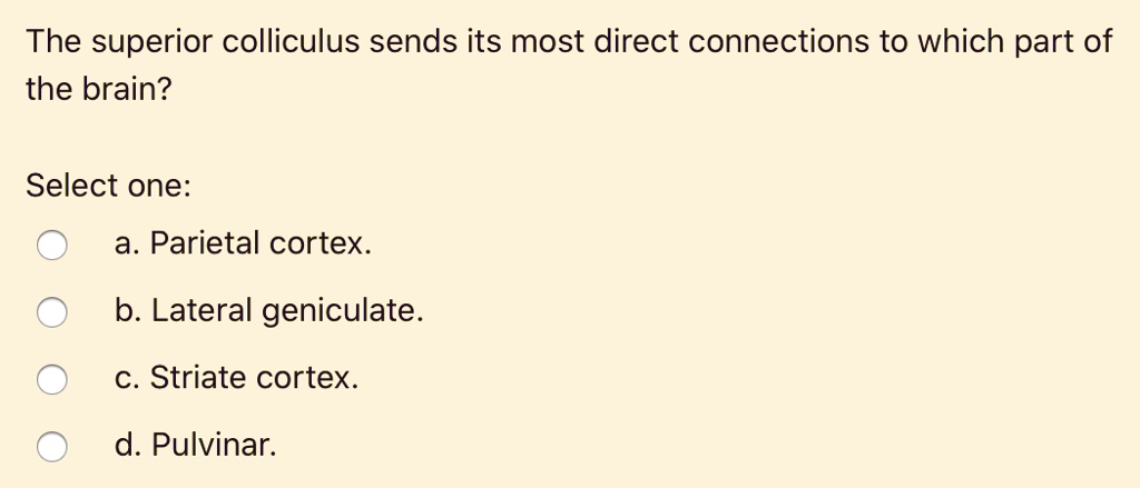 SOLVED: The superior colliculus sends its most direct connections to ...