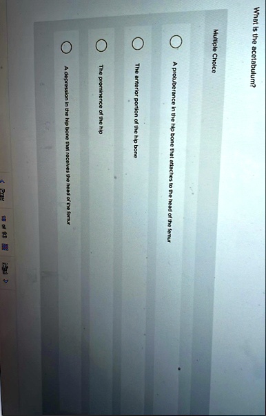 what is the acetabulum multiple choice a protuberance in the hip bone ...