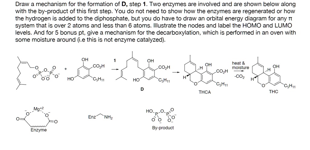 SOLVED: Draw a mechanism for the formation of D; step 1. Two enzymes ...