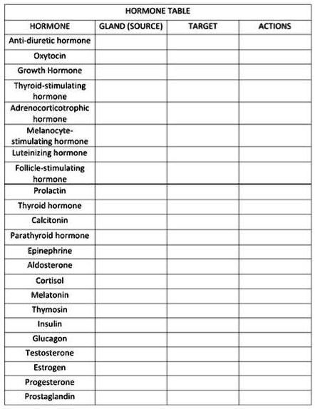 hormone table hormone gland source anti diuretic hormone target actions ...