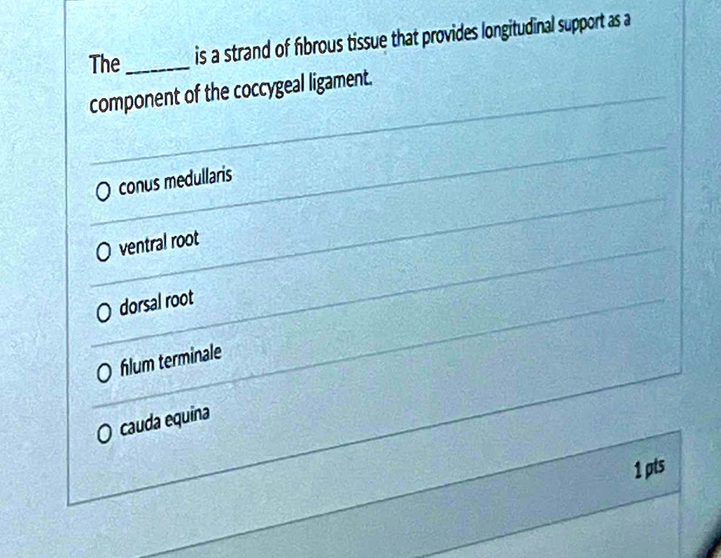 SOLVED: The is a strand of fibrous tissue that provides longitudinal ...