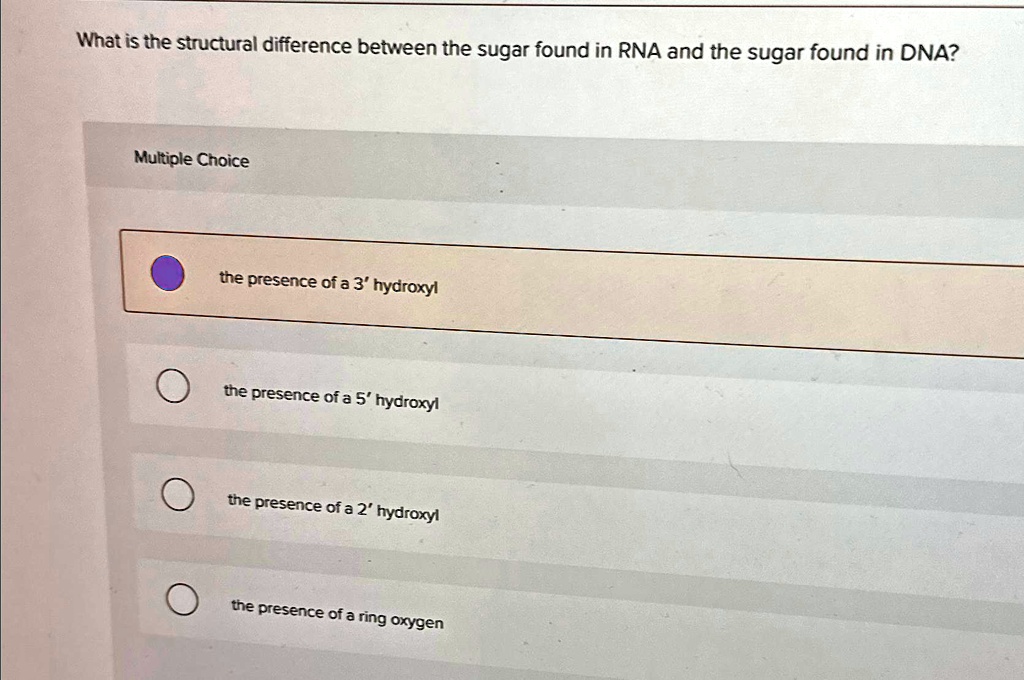 What is the structural difference between the sugar found in RNA and ...